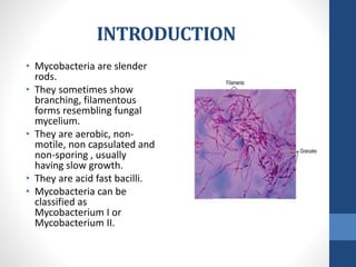 Mycobacterium tuberculosis | PPTX