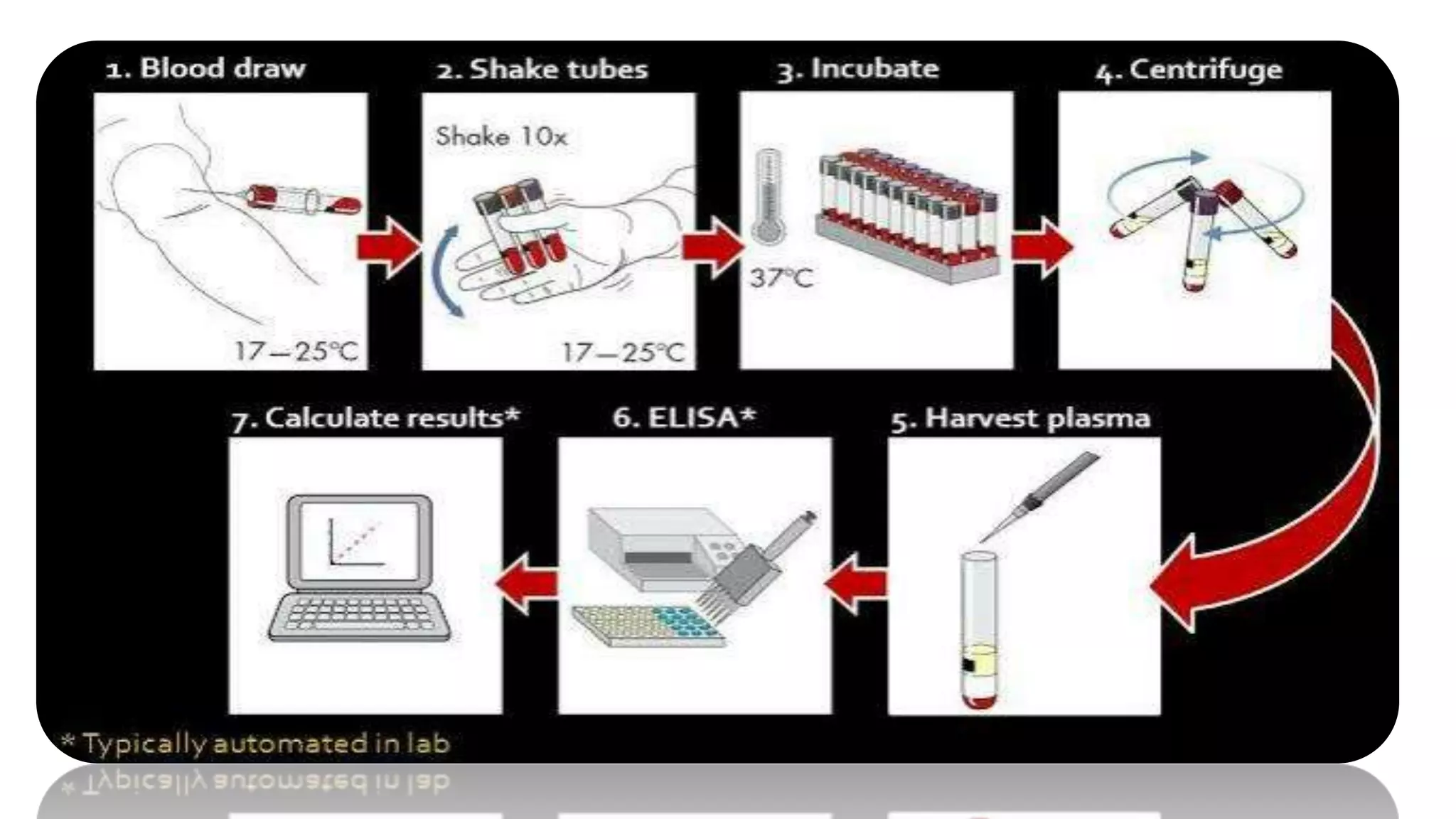 Mycobacterium tuberculosis-TB | PPT
