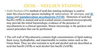 Mycobacterium tuberculosis-TB | PPTX