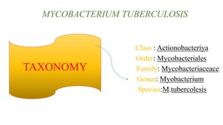 Mycobacterium tuberculosis-TB | PPT