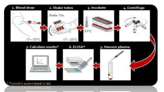 Mycobacterium tuberculosis-TB | PPT