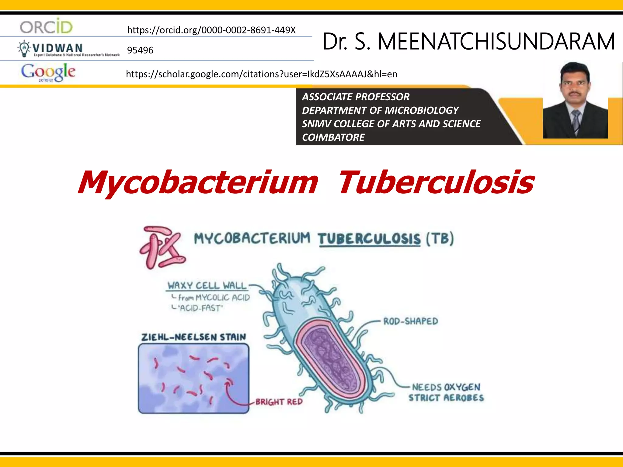 Description Of Mycobacterium