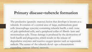 Mycobacterium tuberculosis.pptx histology | PPTX