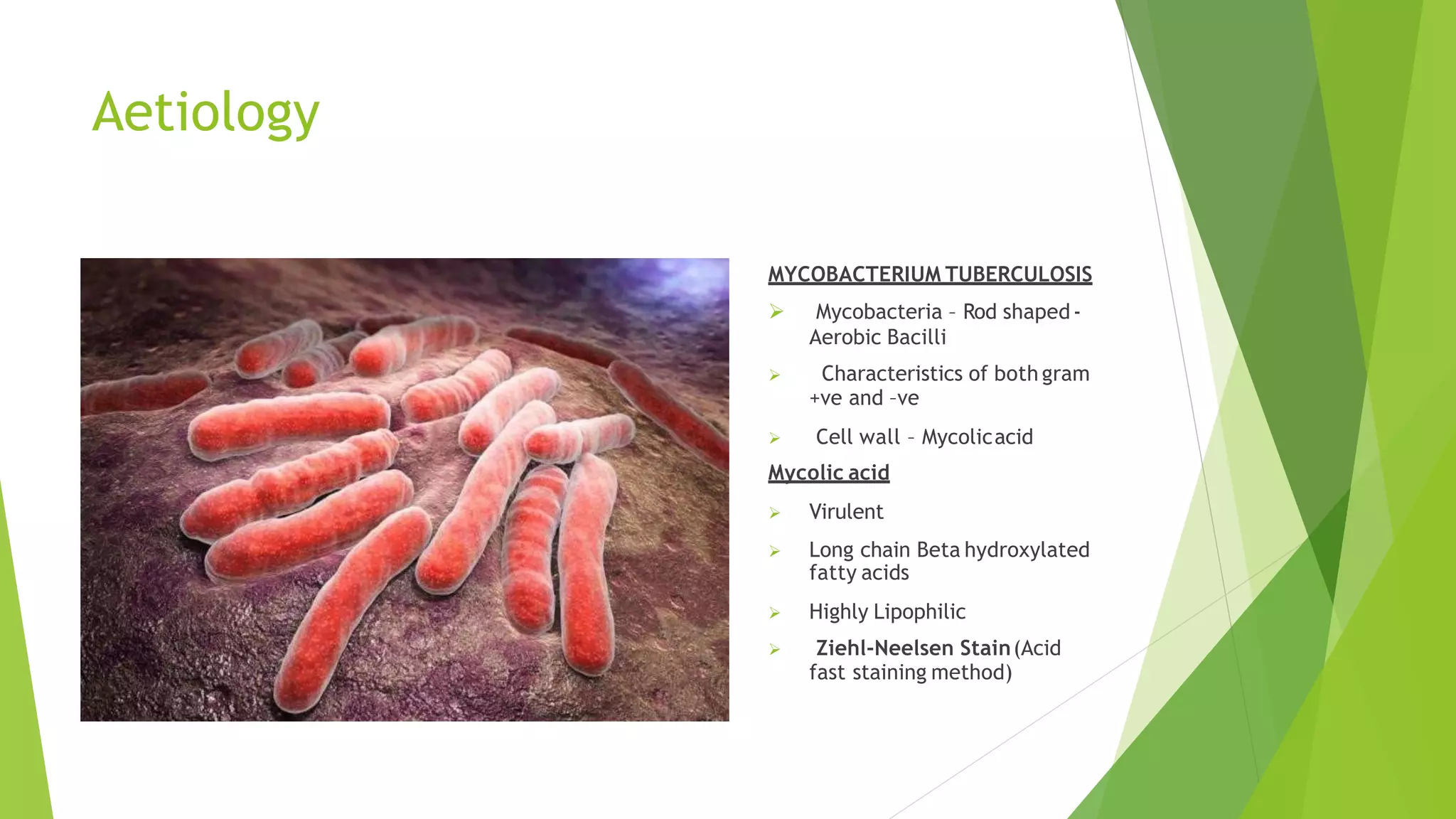 Mycobacterium Tuberculosis Presentation | PPTX