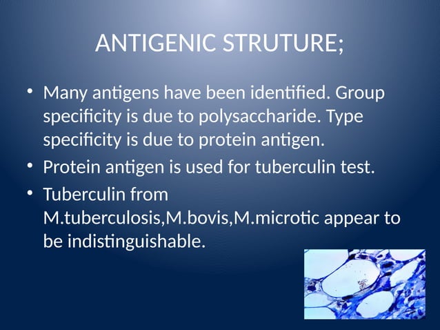 MYCOBACTERIUM TUBERCULOSIS overview slide share | PPT