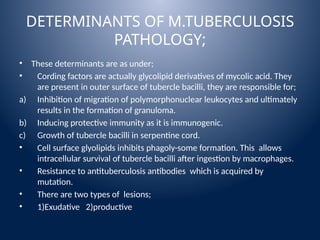 MYCOBACTERIUM TUBERCULOSIS overview slide share | PPT
