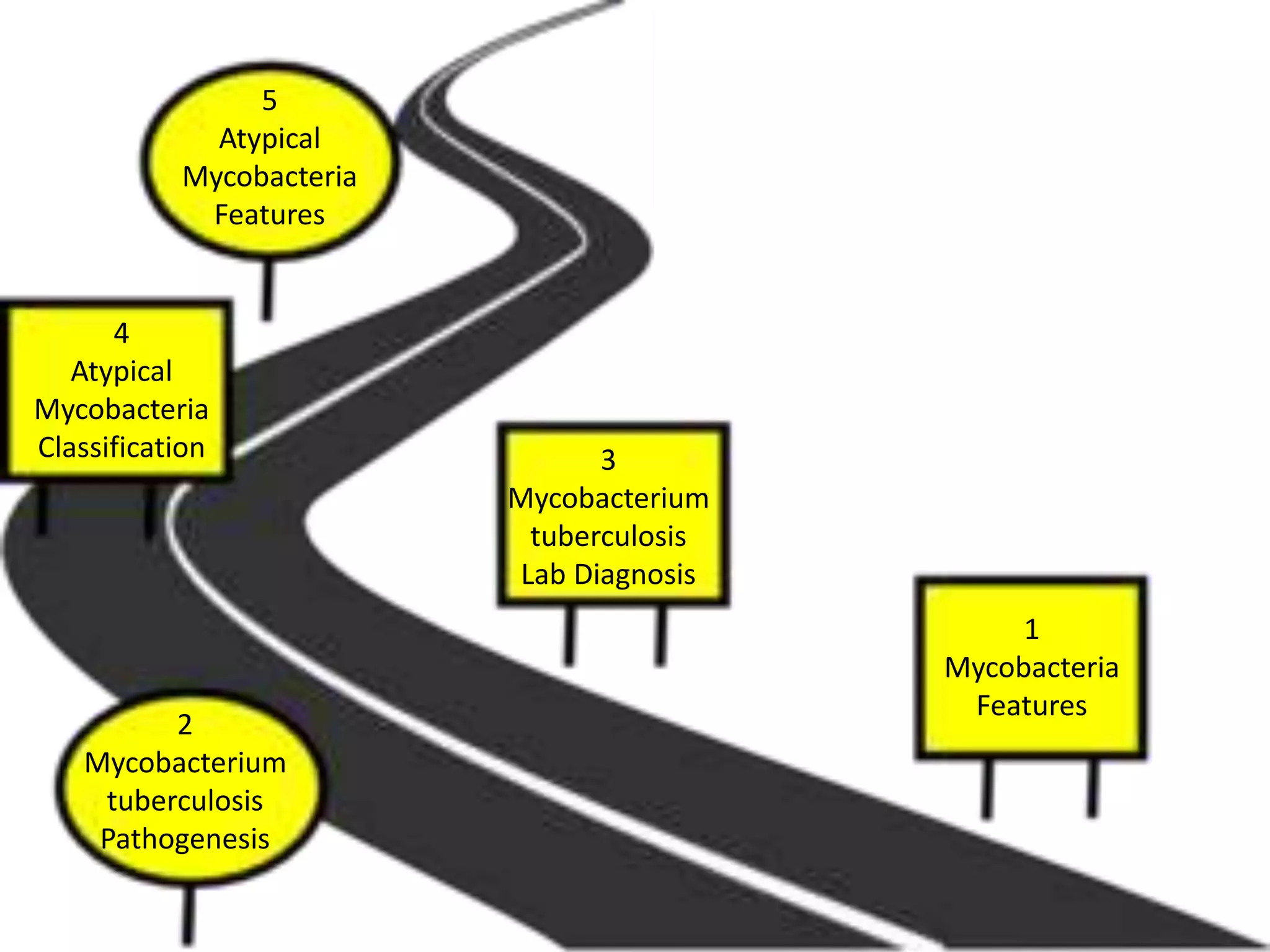 Mycobacterium tuberculosis and atypical mycobacteria | PPTX