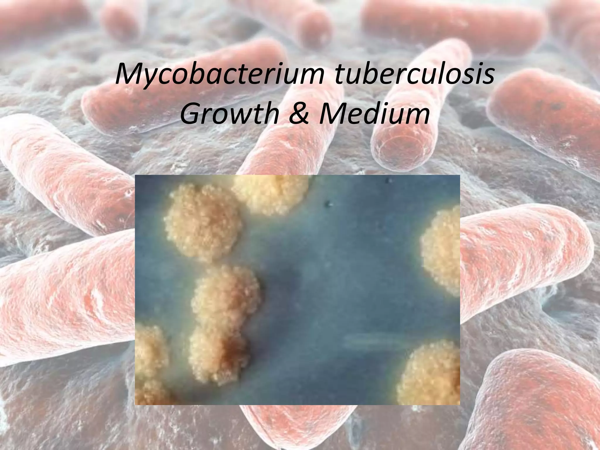 Mycobacterium tuberculosis and atypical mycobacteria | PPTX