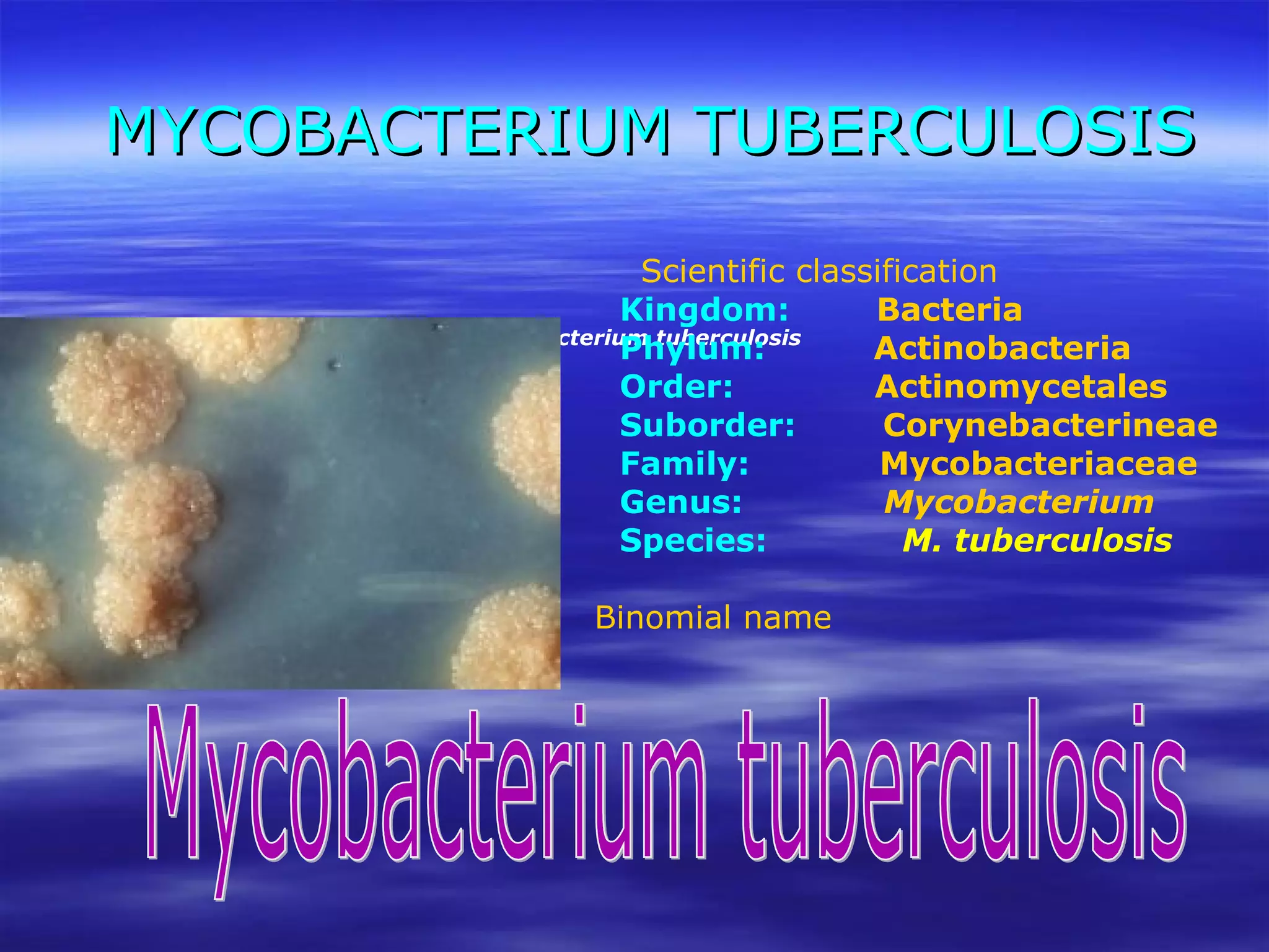Mycobacterium tuberculosis lecture | PPT