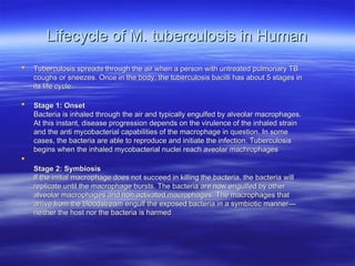 mycobacteriumtuberculosisseminar-111211061608-phpapp01.ppt