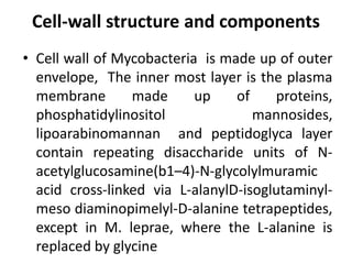 Mycobacteriun tuberculosis | PPTX