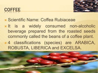 My coffee presentation | PPTX