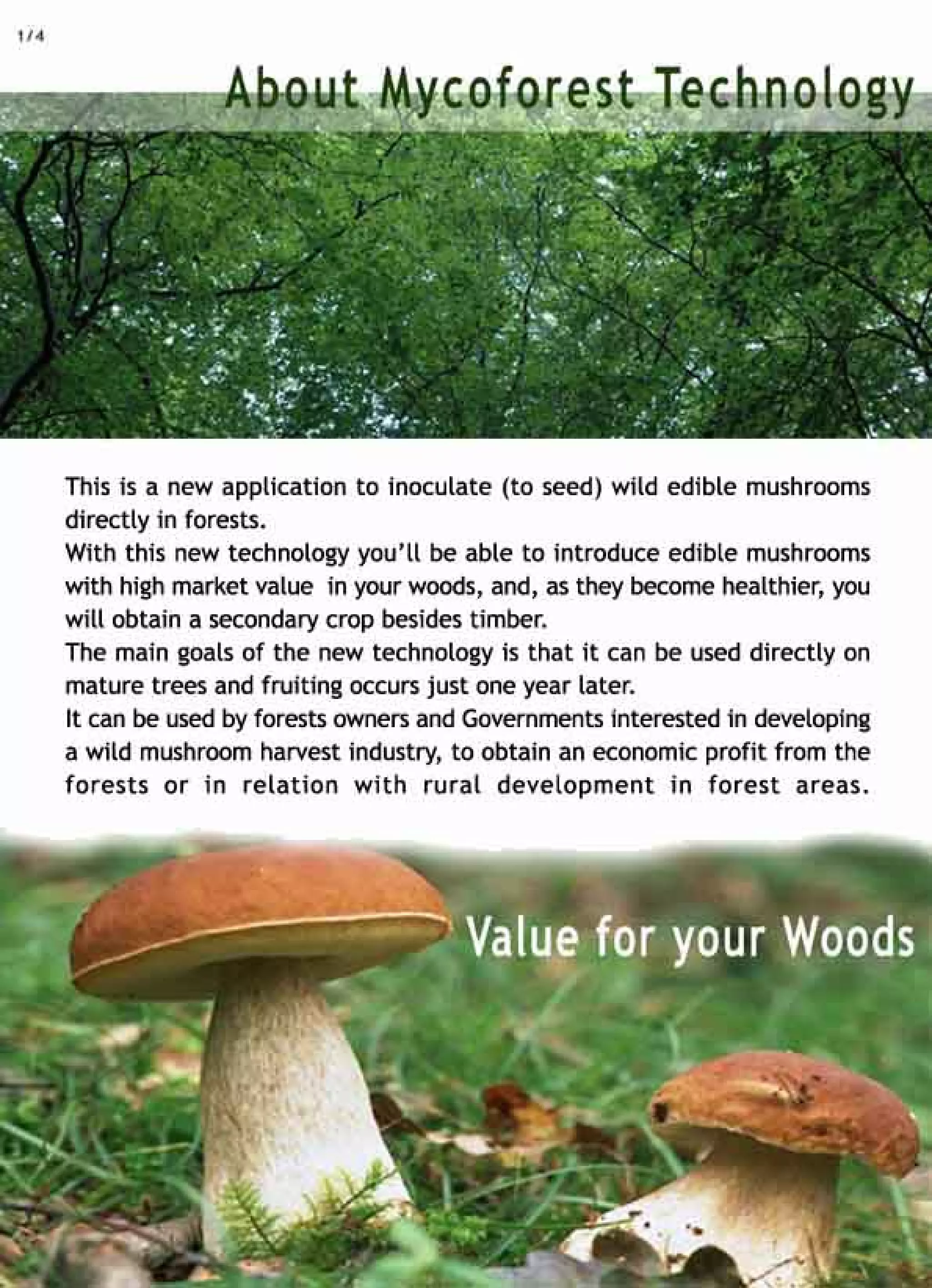 Mycoforest technology en | PDF