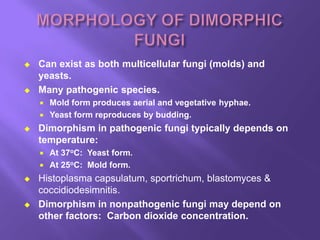 Mycology | PPTX