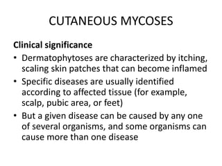 Introduction to Mycology and Dertmatophytes | PPT