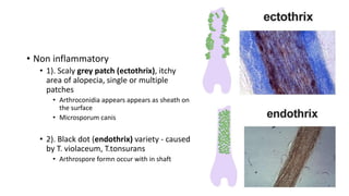 Mycology revision notes | PPT