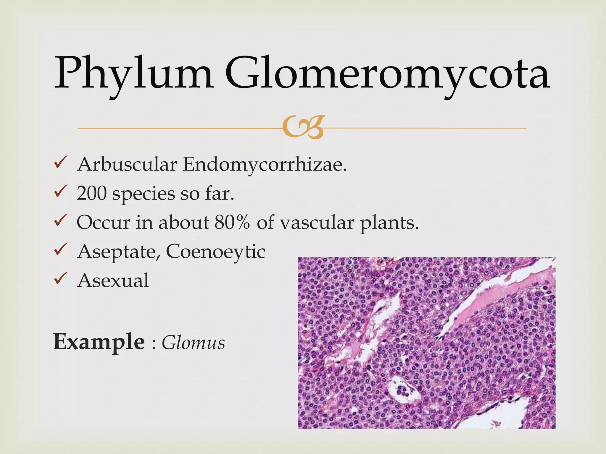 Mycology powerpoint presentation | PPTX