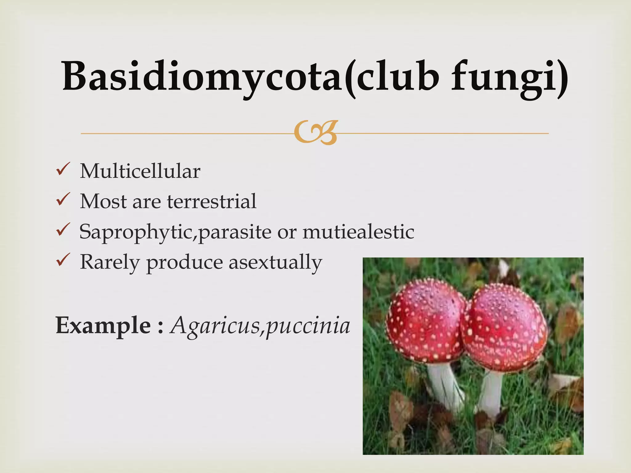 Mycology powerpoint presentation | PPTX