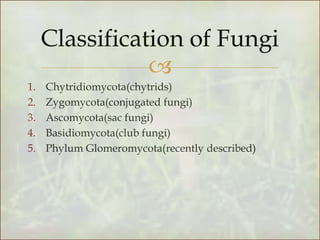 Mycology powerpoint presentation | PPTX