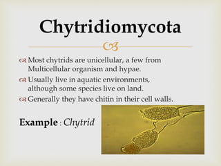 Mycology powerpoint presentation | PPT