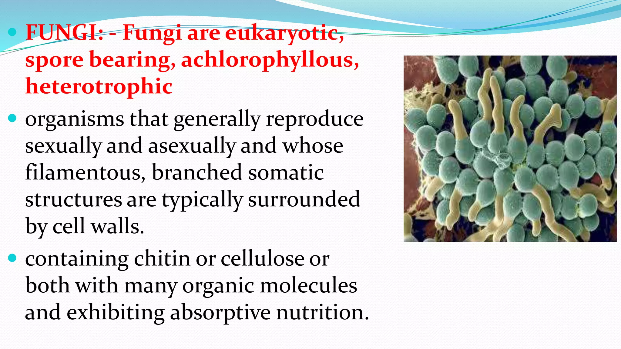 mycology plant pathology | PPTX