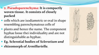 mycology plant pathology | PPTX