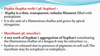 mycology plant pathology | PPTX