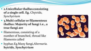 mycology plant pathology | PPTX