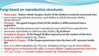 mycology plant pathology | PPTX