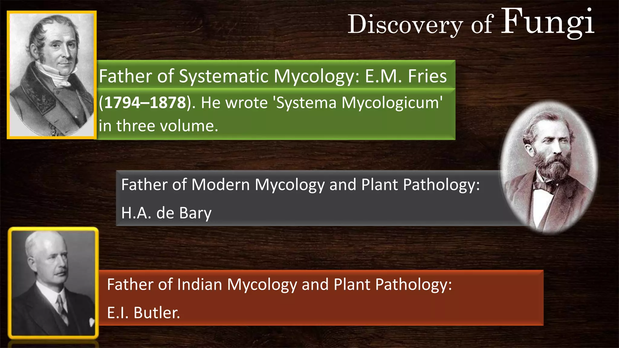 Mycology (Fungi Introduction) | PPTX