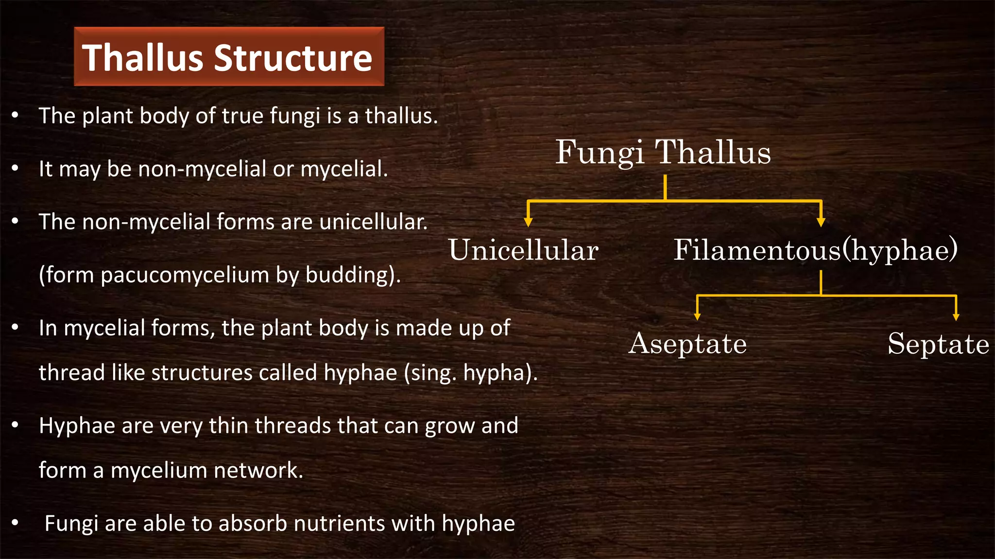 Mycology (Fungi Introduction) | PPTX