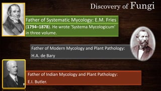Mycology (Fungi Introduction) | PPTX