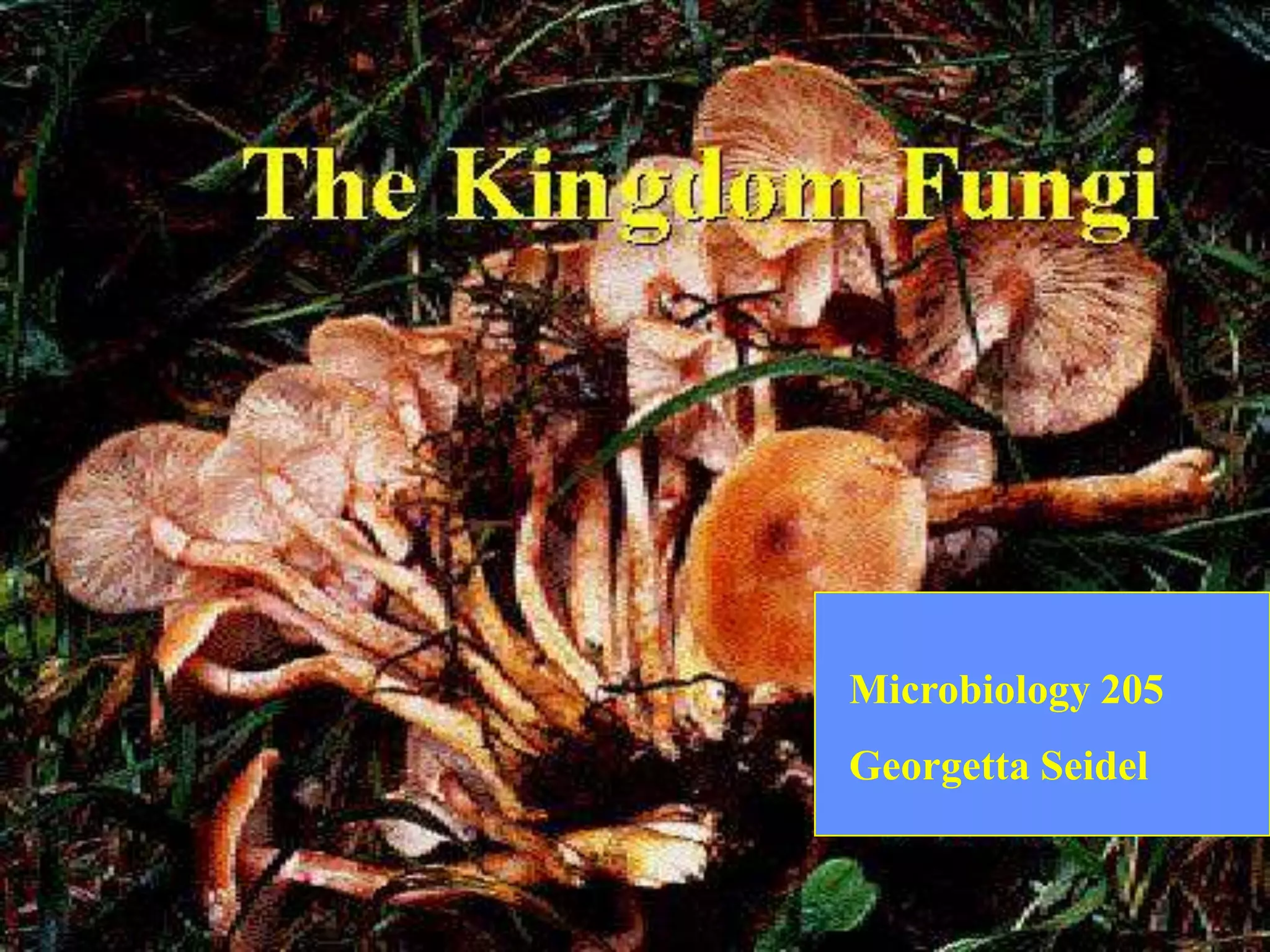 Mycology.ppt