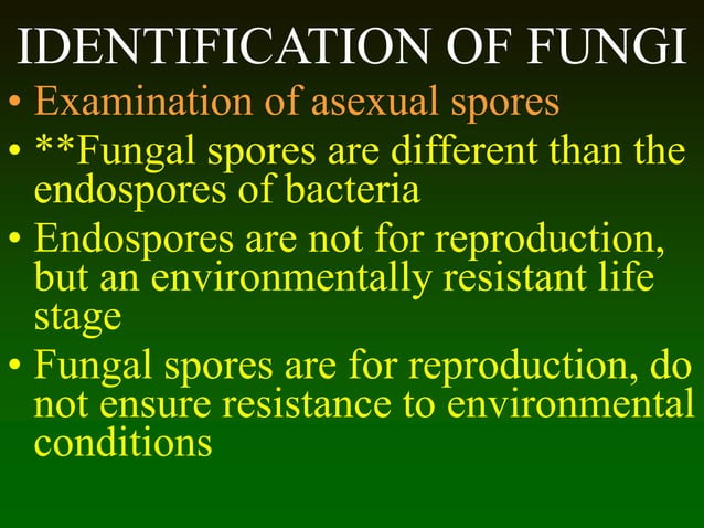 Mycology.ppt