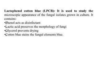 Mycology.pptx