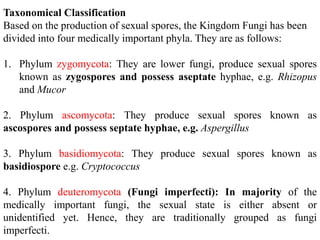 Mycology.pptx