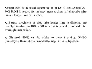 Mycology.pptx