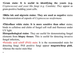Mycology.pptx