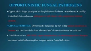 PATHOGENESIS OF FUNGI...PRIMARY & OPPRUNISTIC FUNGAL PATHOGENS | PPTX