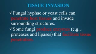 PATHOGENESIS OF FUNGI...PRIMARY & OPPRUNISTIC FUNGAL PATHOGENS | PPTX