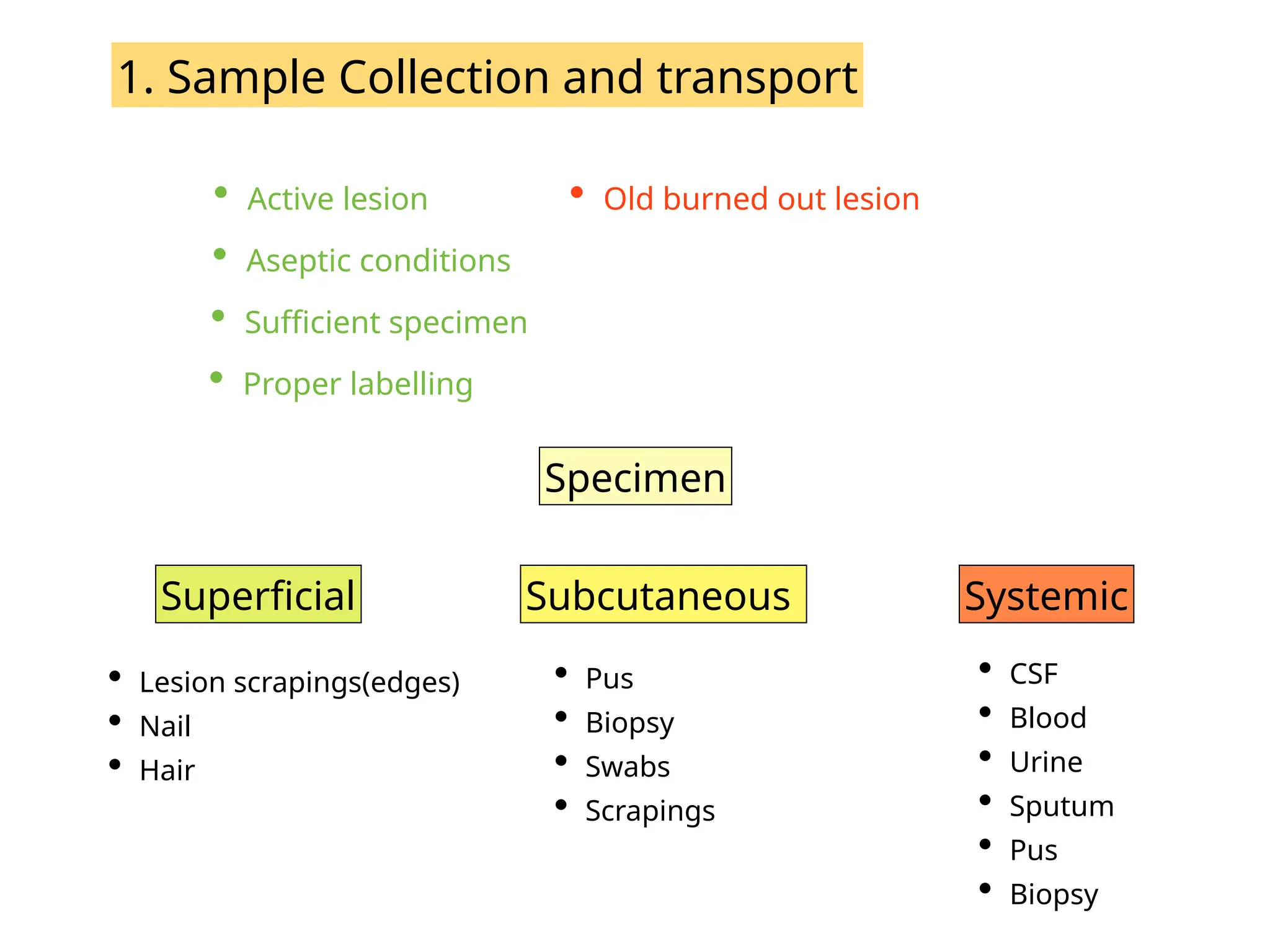 Medical Mycology for 2nd year MBBS Microbiology | PPTX