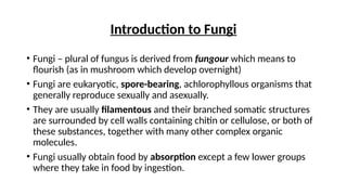 Introduction to Mycology- Structure and Importance of Fungi | PPTX