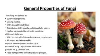 Introduction to Mycology- Structure and Importance of Fungi | PPTX