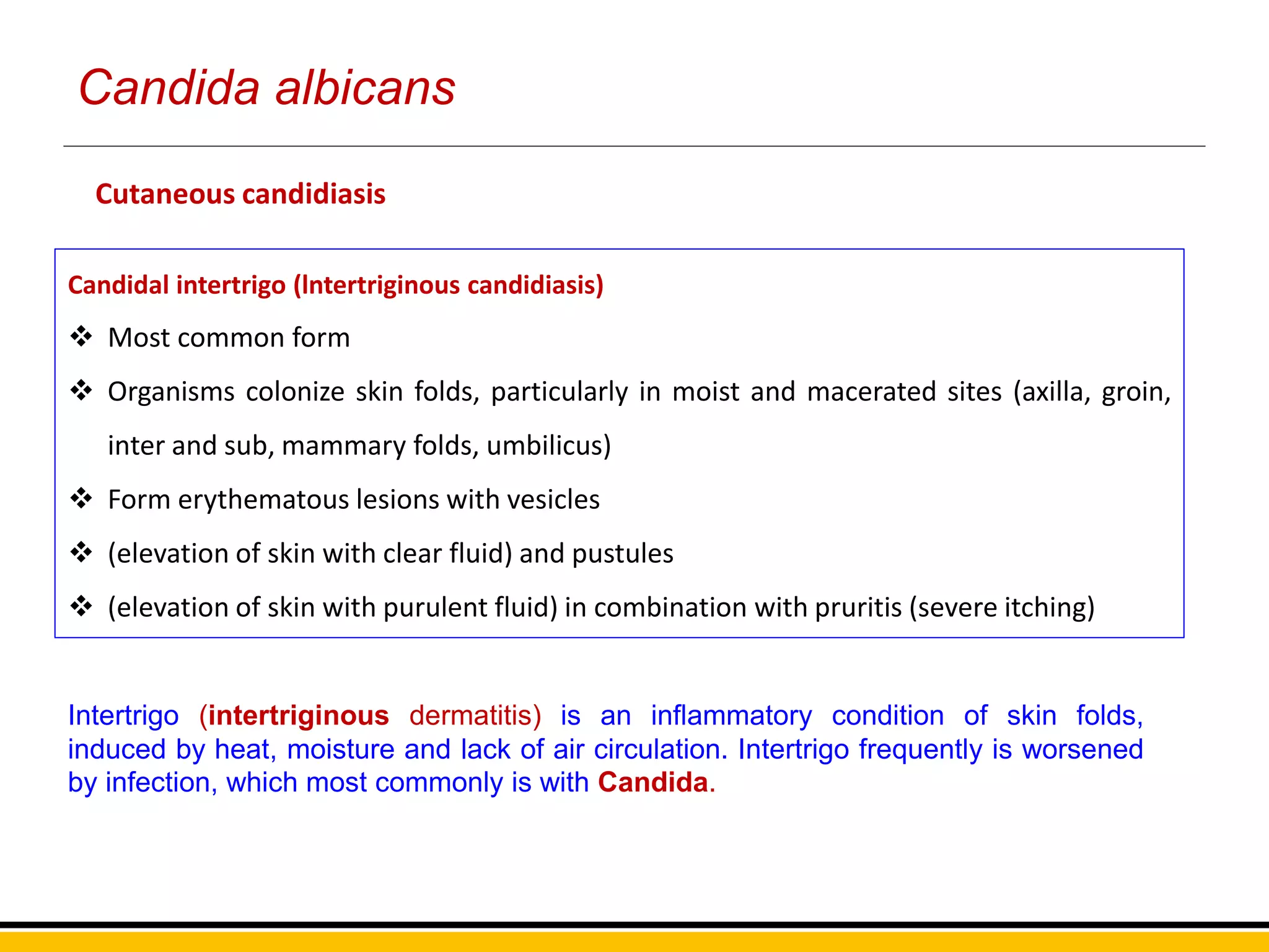 Candida albicans | PPTX