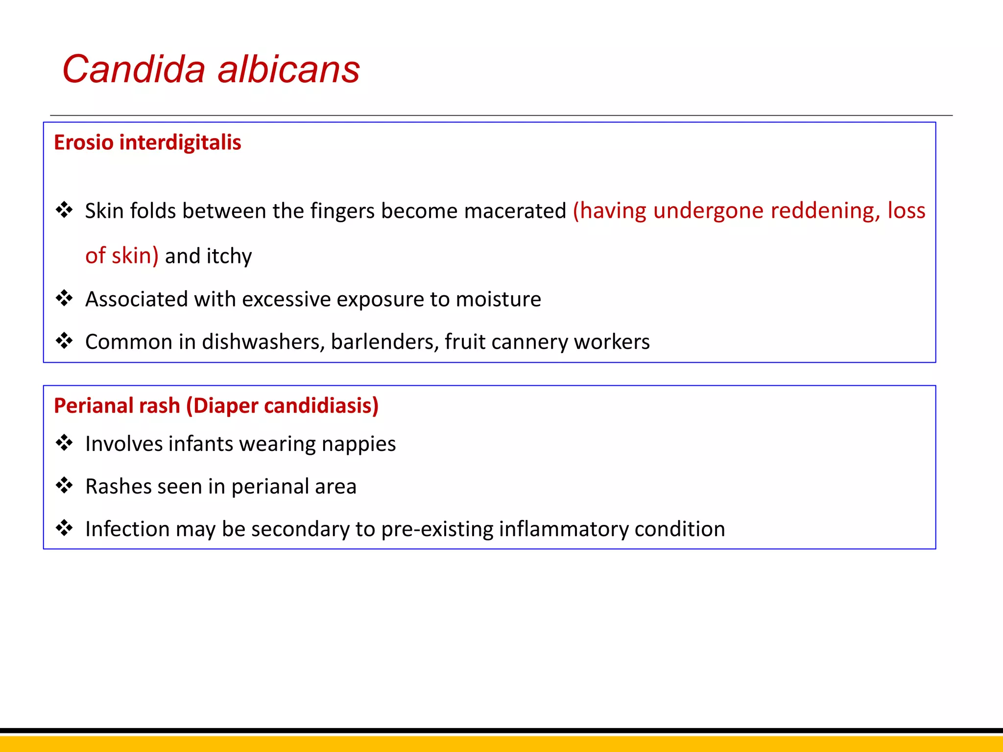 Candida albicans | PPTX