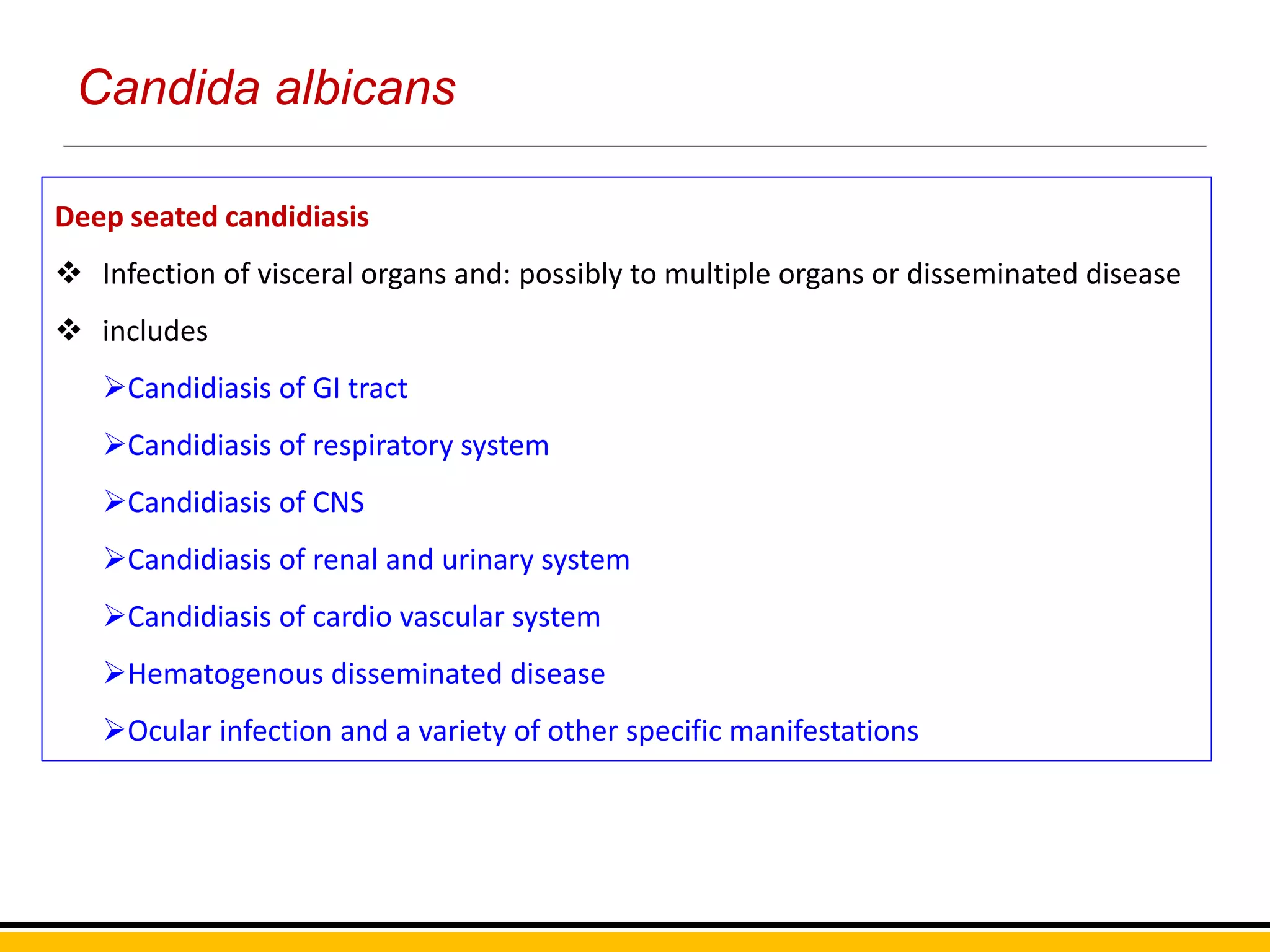 Candida albicans | PPTX