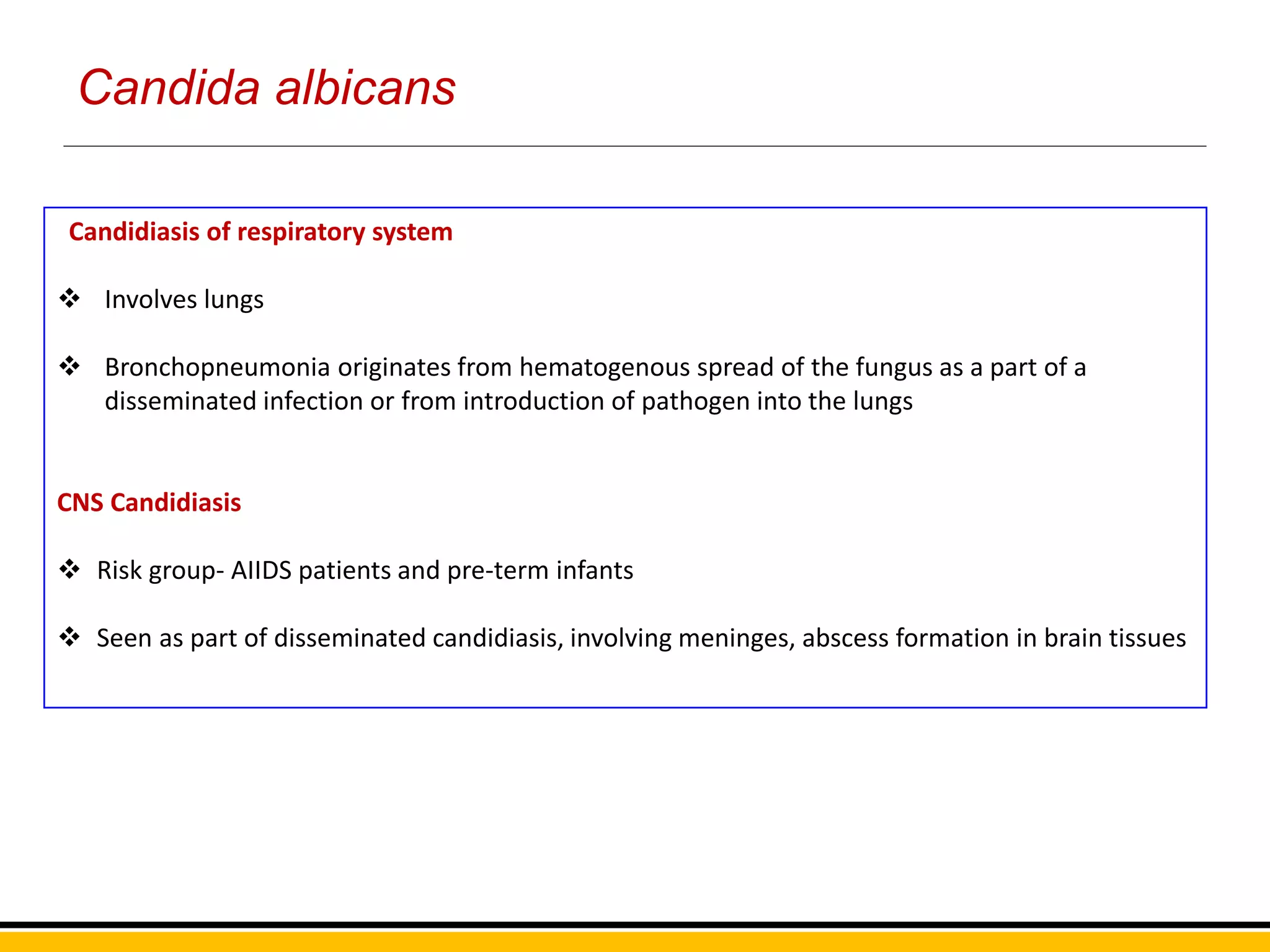 Candida albicans | PPTX