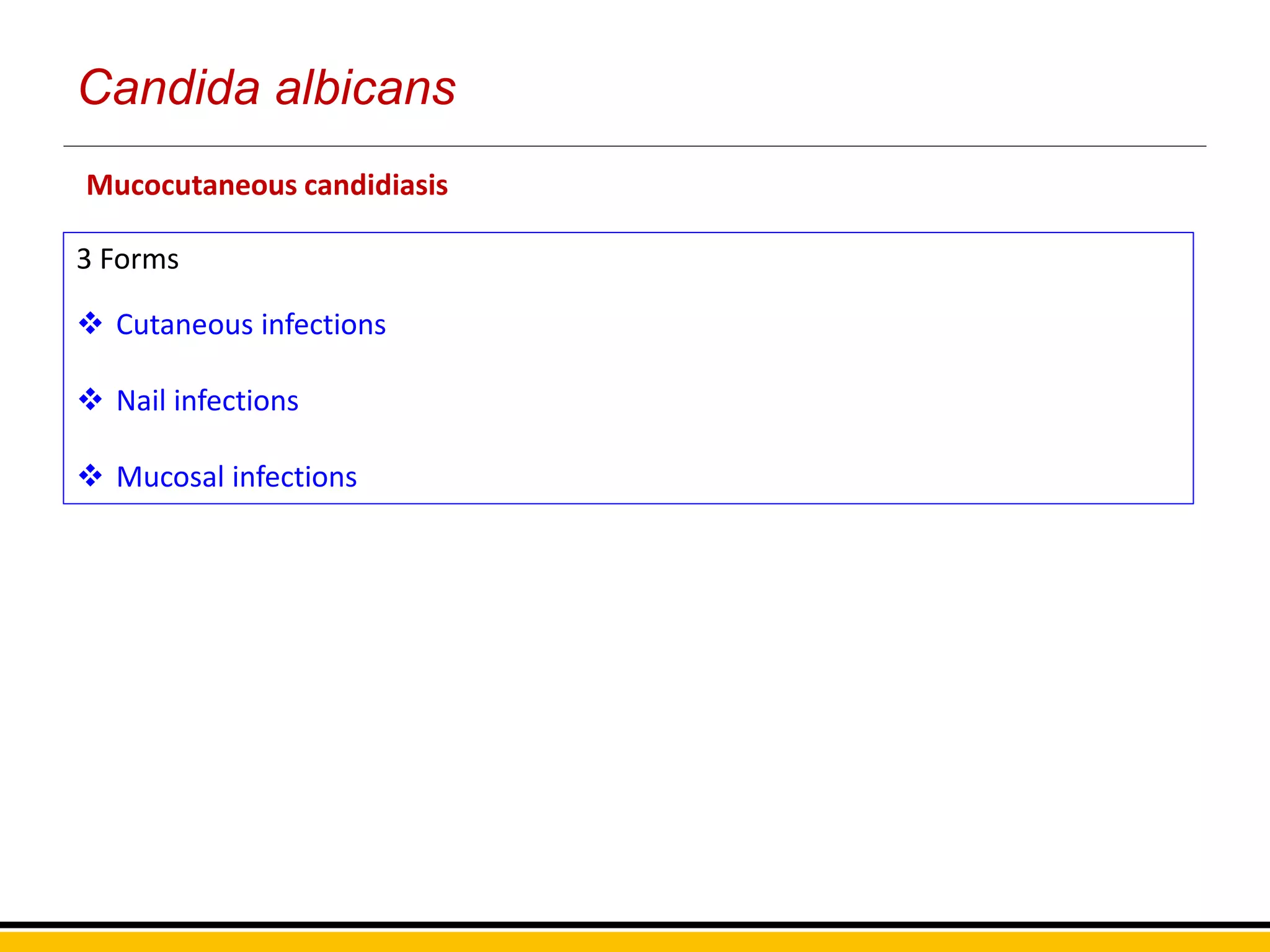 Candida albicans | PPTX