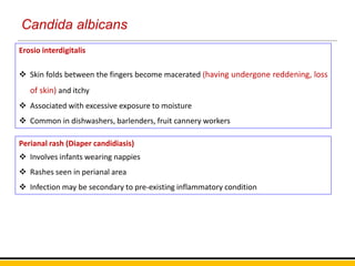 Candida albicans | PPTX