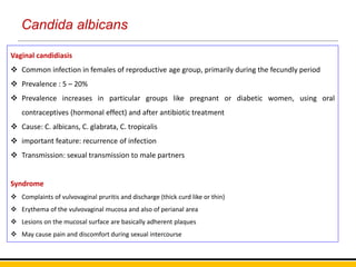 Candida albicans | PPTX